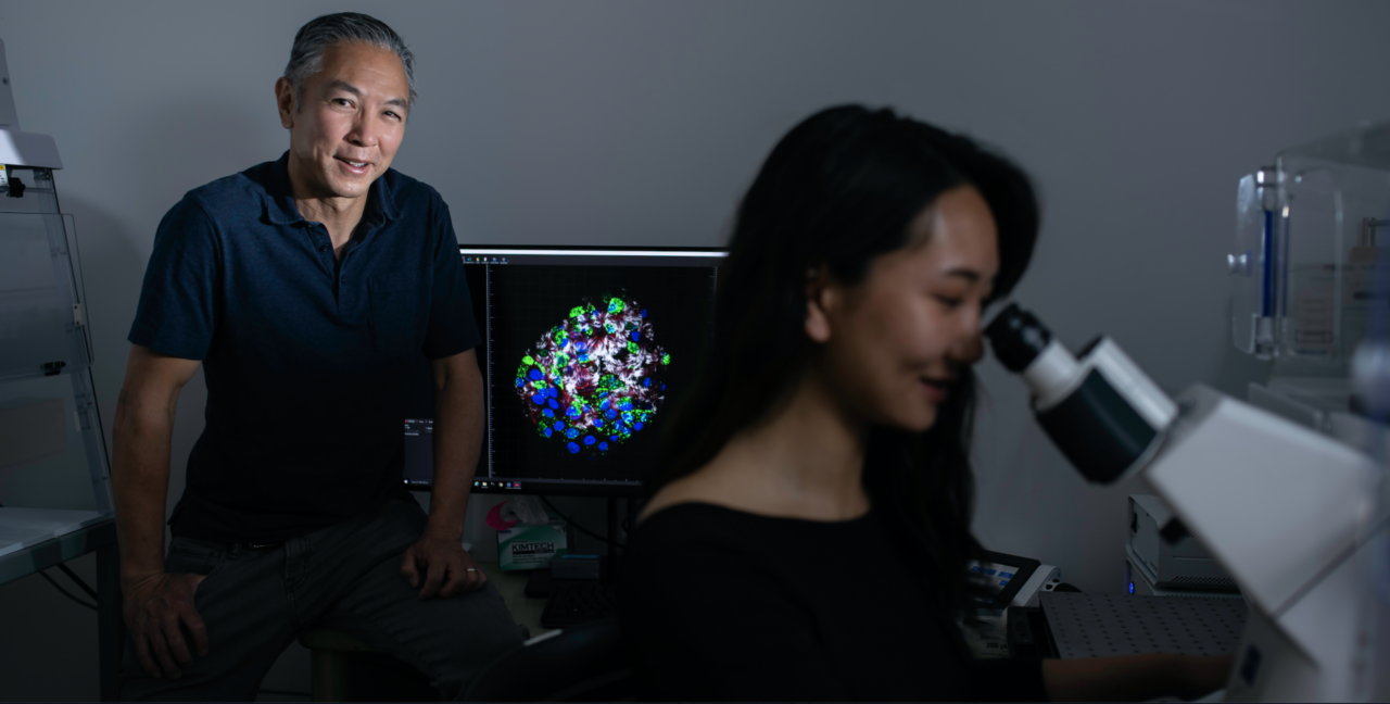 Lung Organoids: A Novel Way to Model COVID Infection | DoM Annual Reports